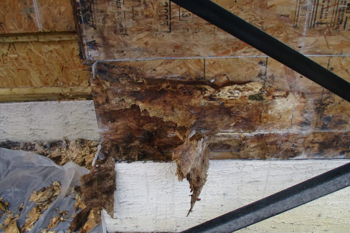 Photo Gallery | McDermott Construction