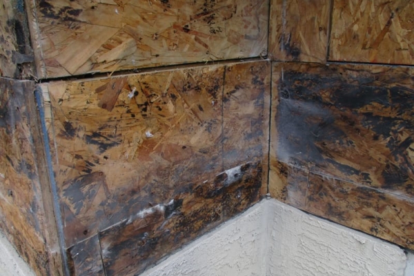 Photo Gallery | McDermott Construction